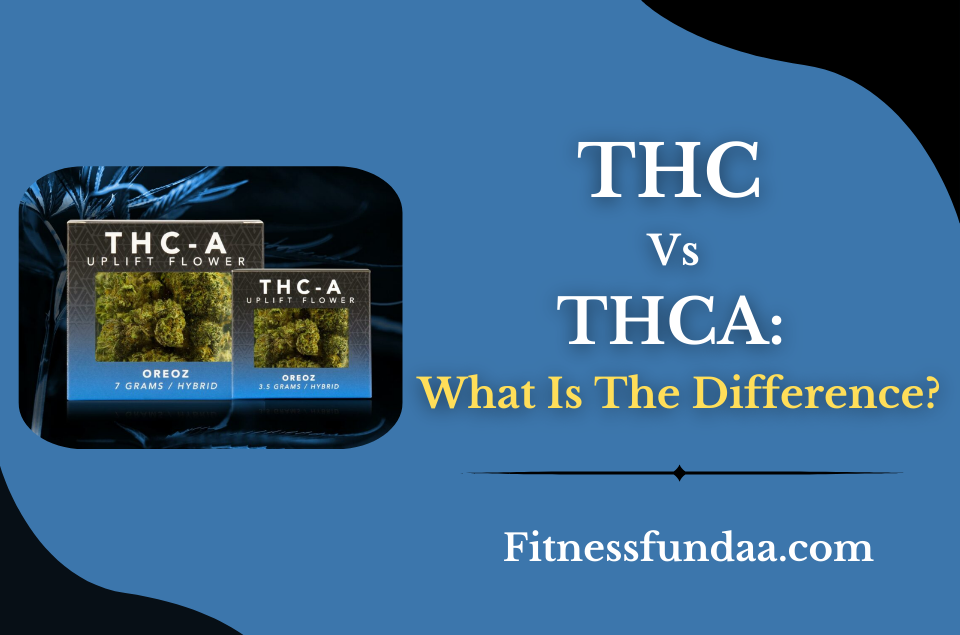 THC Vs THCA What Is The Difference 